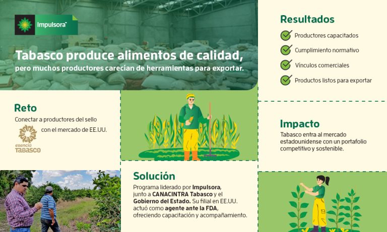 Inicio – Impulsora